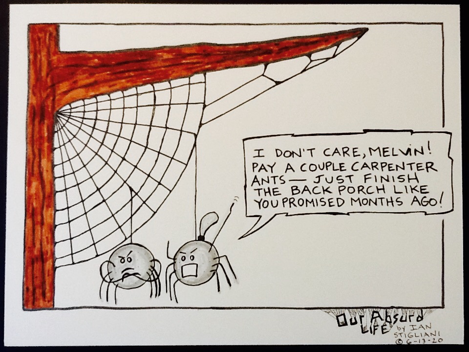 Our Absurd Life — Portfolio: 2020 – Our Absurd Life