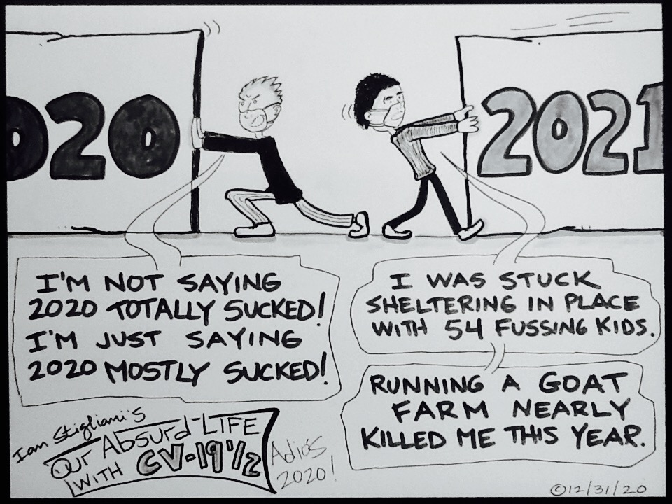 Our Absurd Life: 12/31/20 – New Year’s Eve – Our Absurd Life